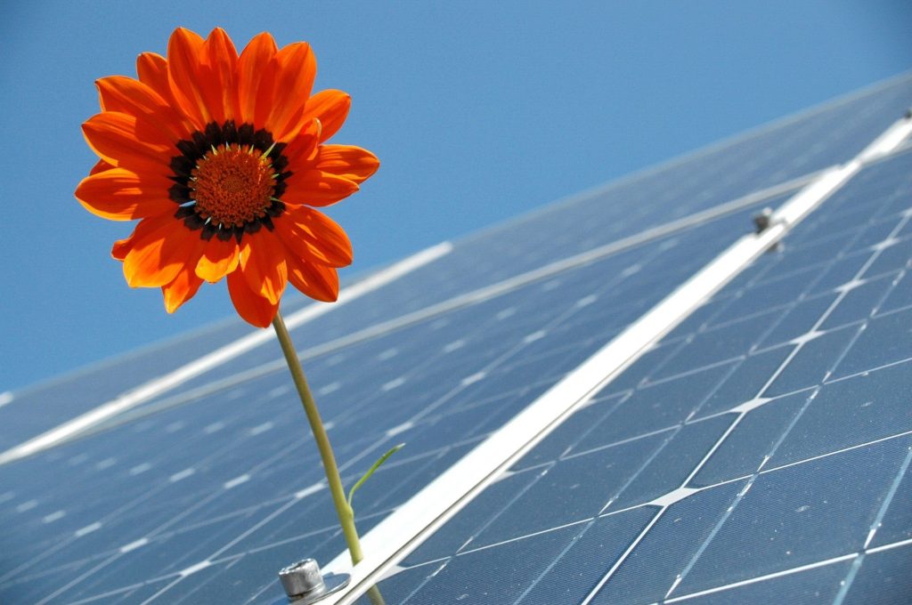 Why Solar Power is the Future – Teeth Grinder UK